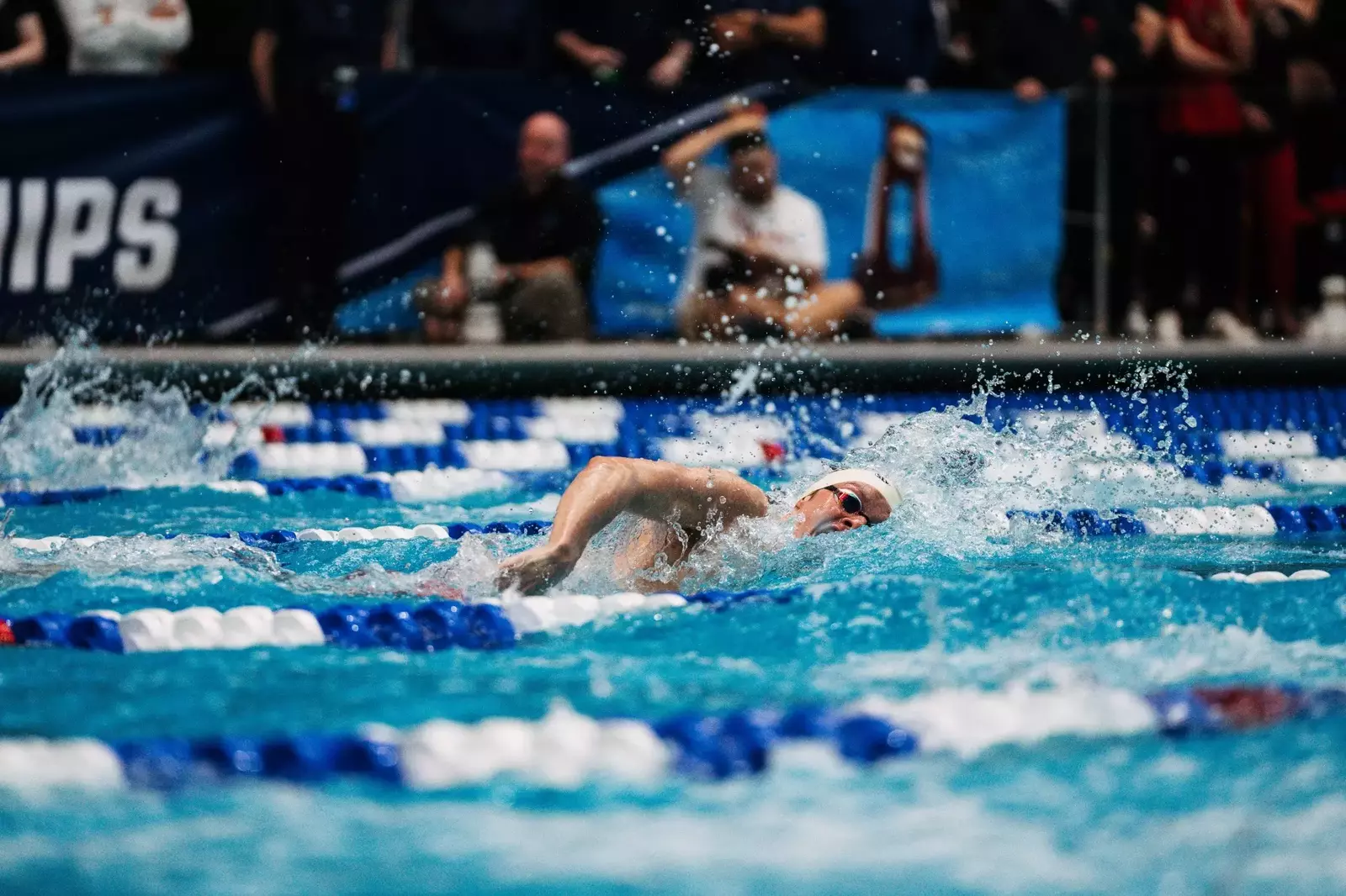 University of Georgia Athletics