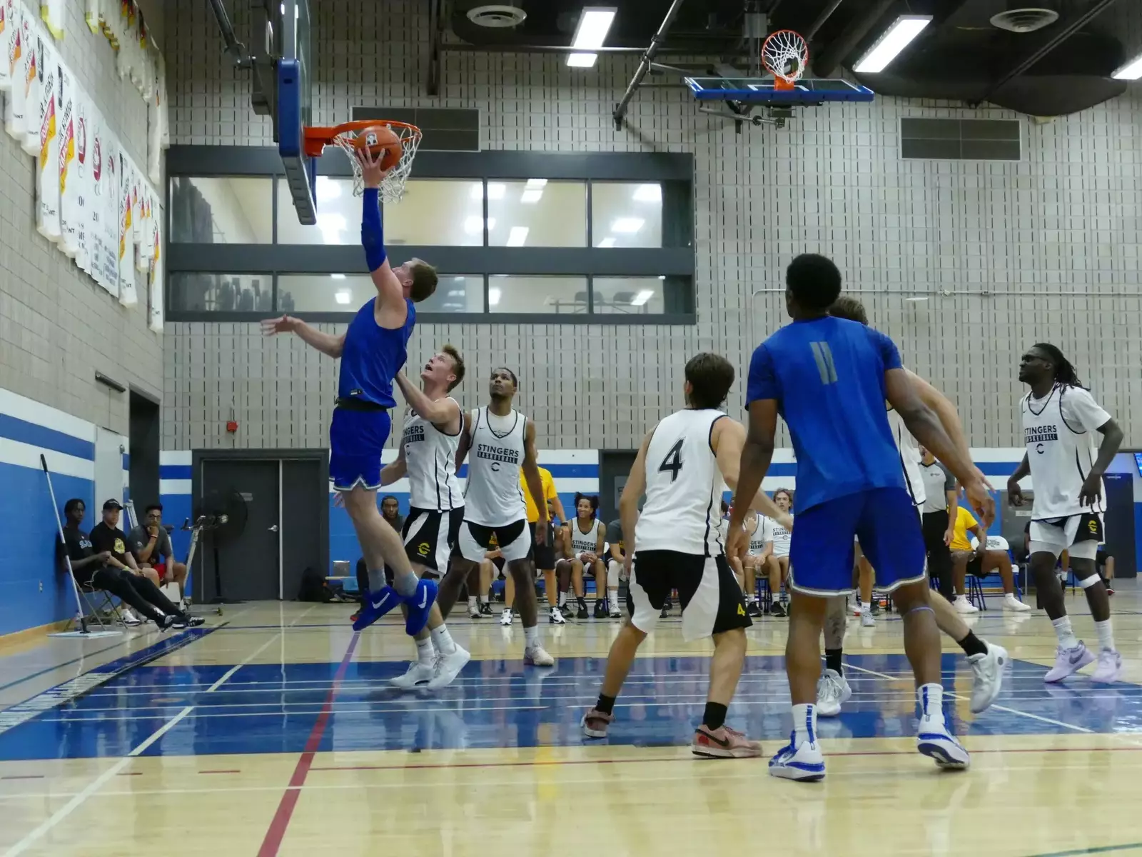 Air Force Academy Athletics