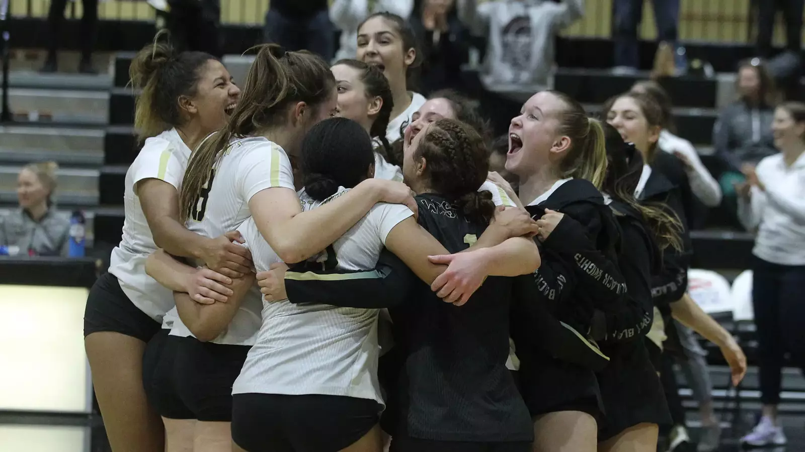 Army West Point - Official Athletics Website