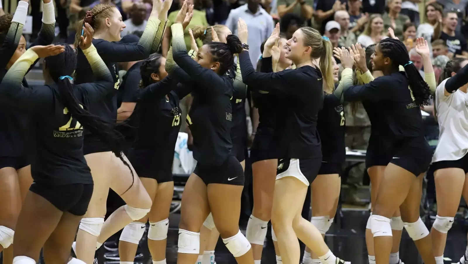 Army West Point - Official Athletics Website