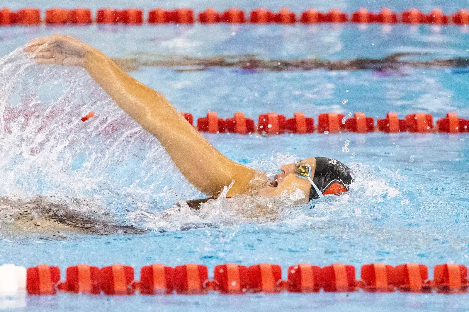 No. 10 Cardinal Swimming and Diving Are First After Day 2 at Purdue ...