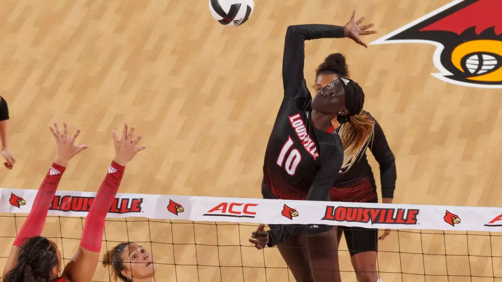 Volleyball Rises to No. 3 Ranking in AVCA Poll - University of ...