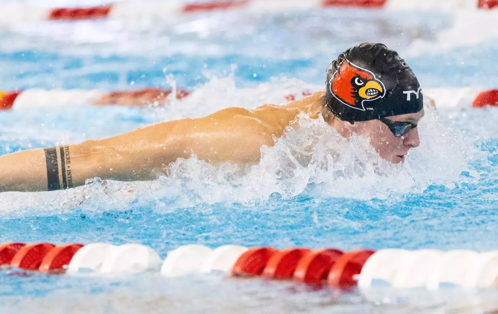 Swimming and Diving Unveil 2023-24 Schedule - University of Louisville ...