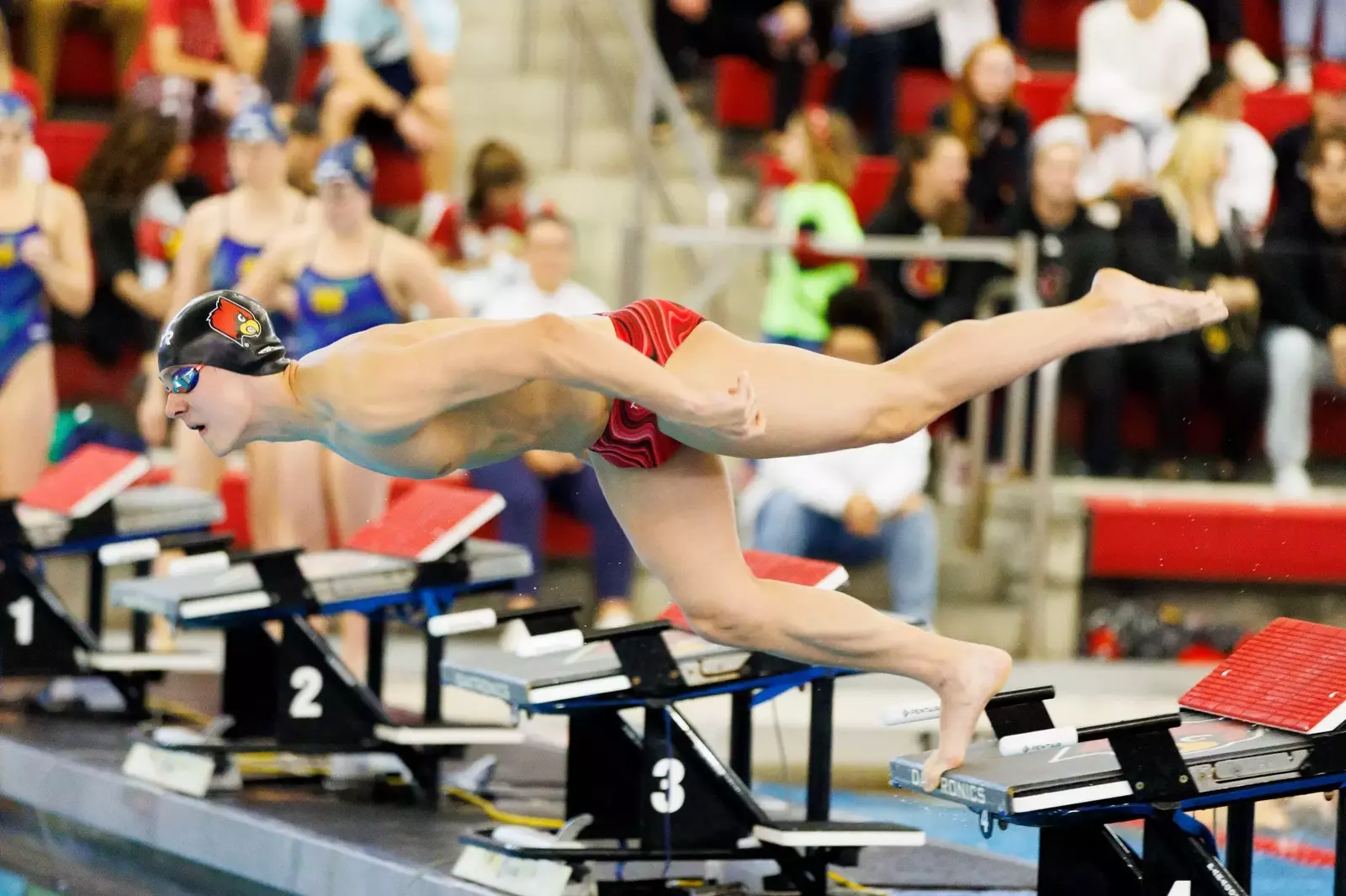 No. 13/6 Swimming and Diving Set to Host Missouri - University of ...