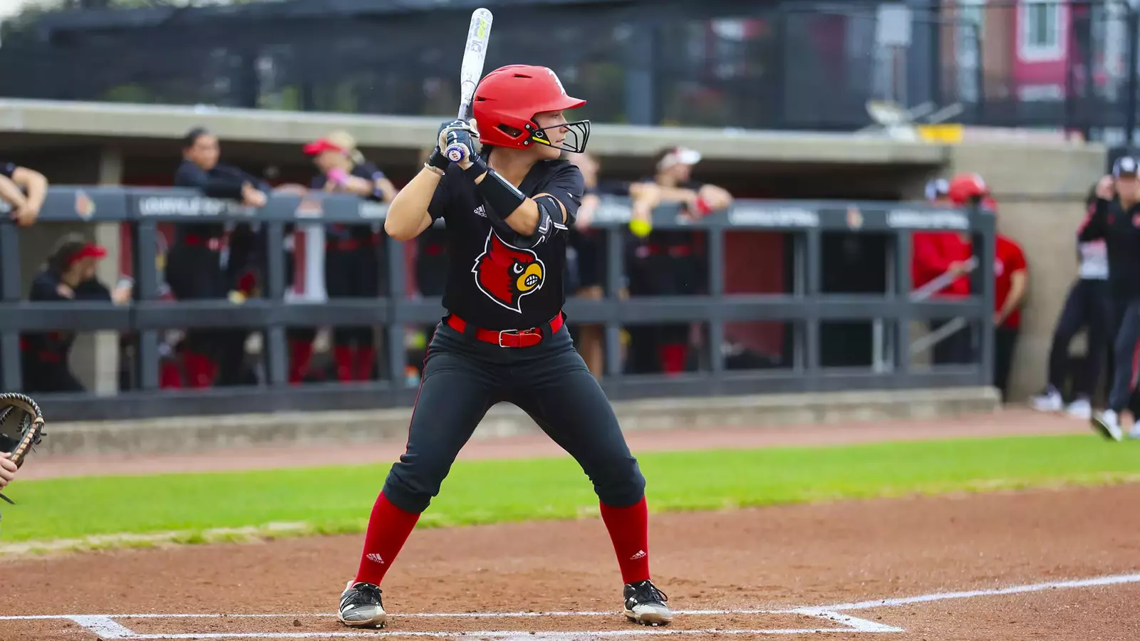 Louisville Plays Host to Western Kentucky in Home Opener Tuesday ...