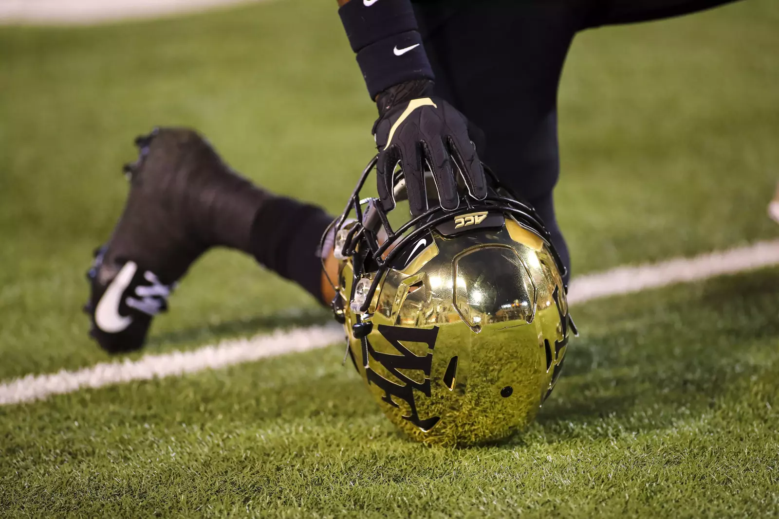 Wake Forest University