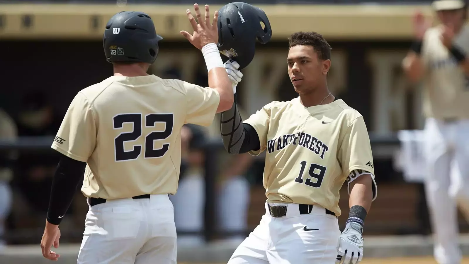 Wake Forest University