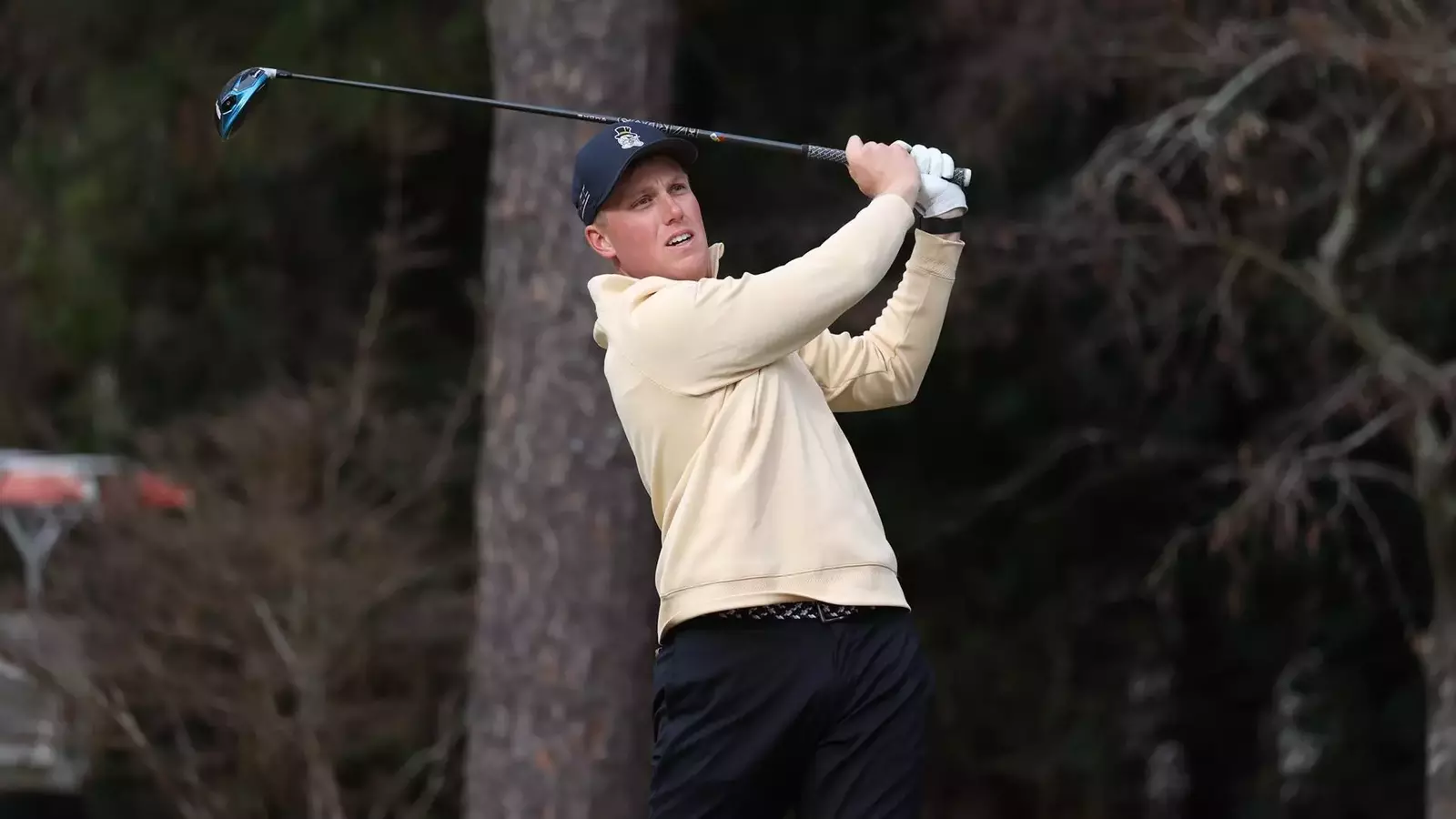 Wake Forest University