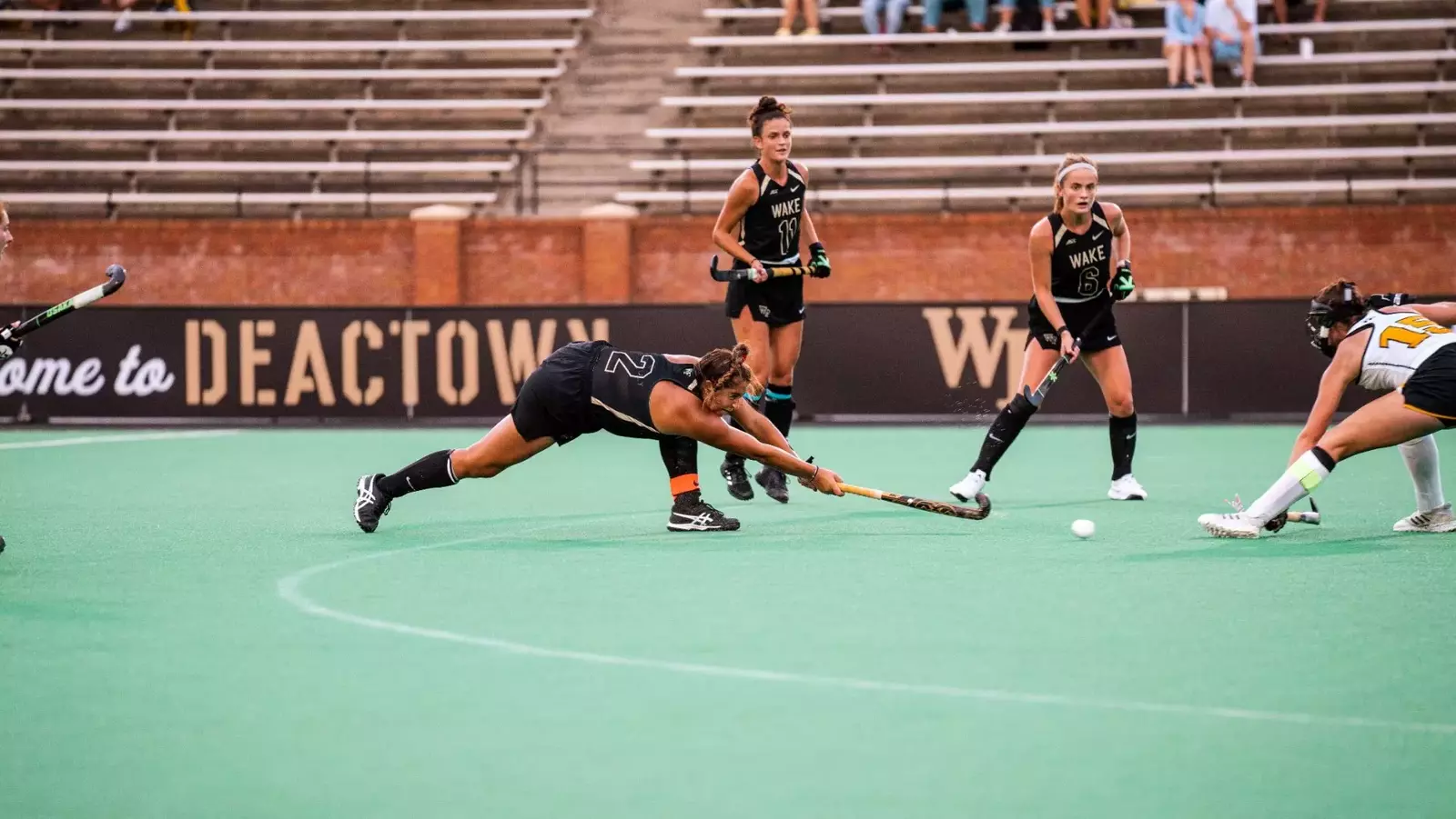 Wake Forest University