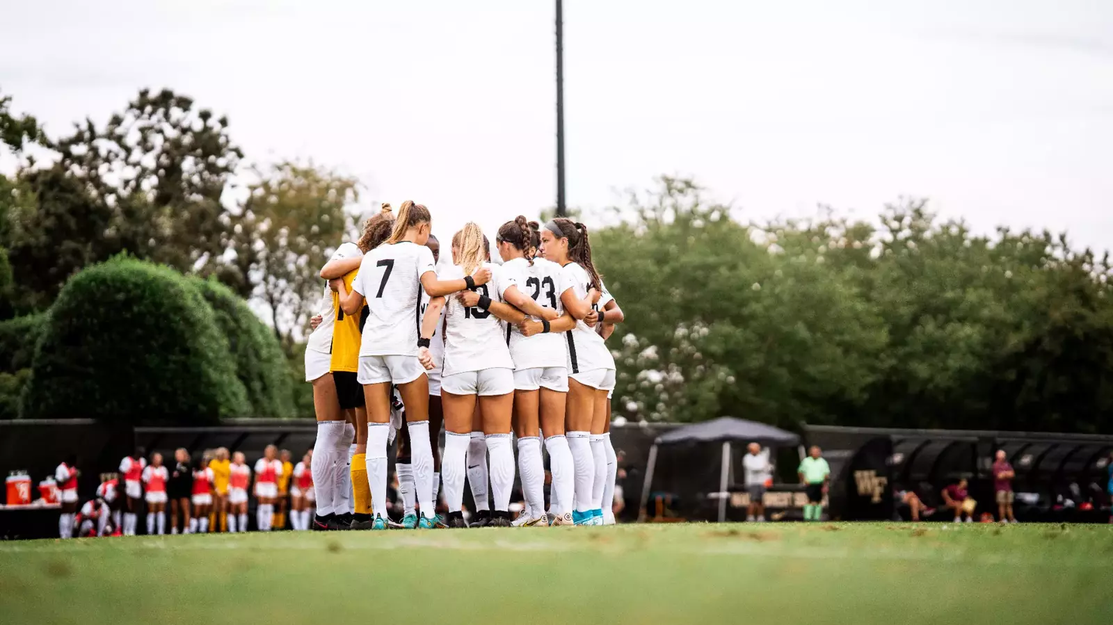 Wake Forest University