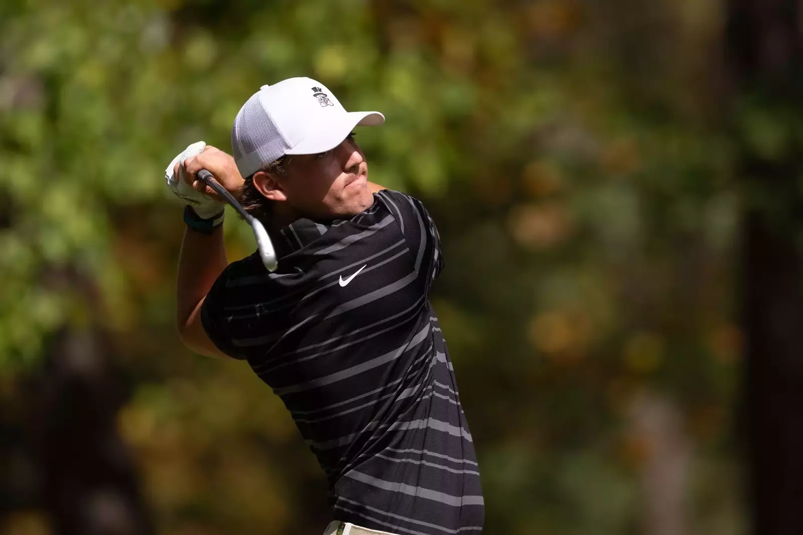 Wake Forest University