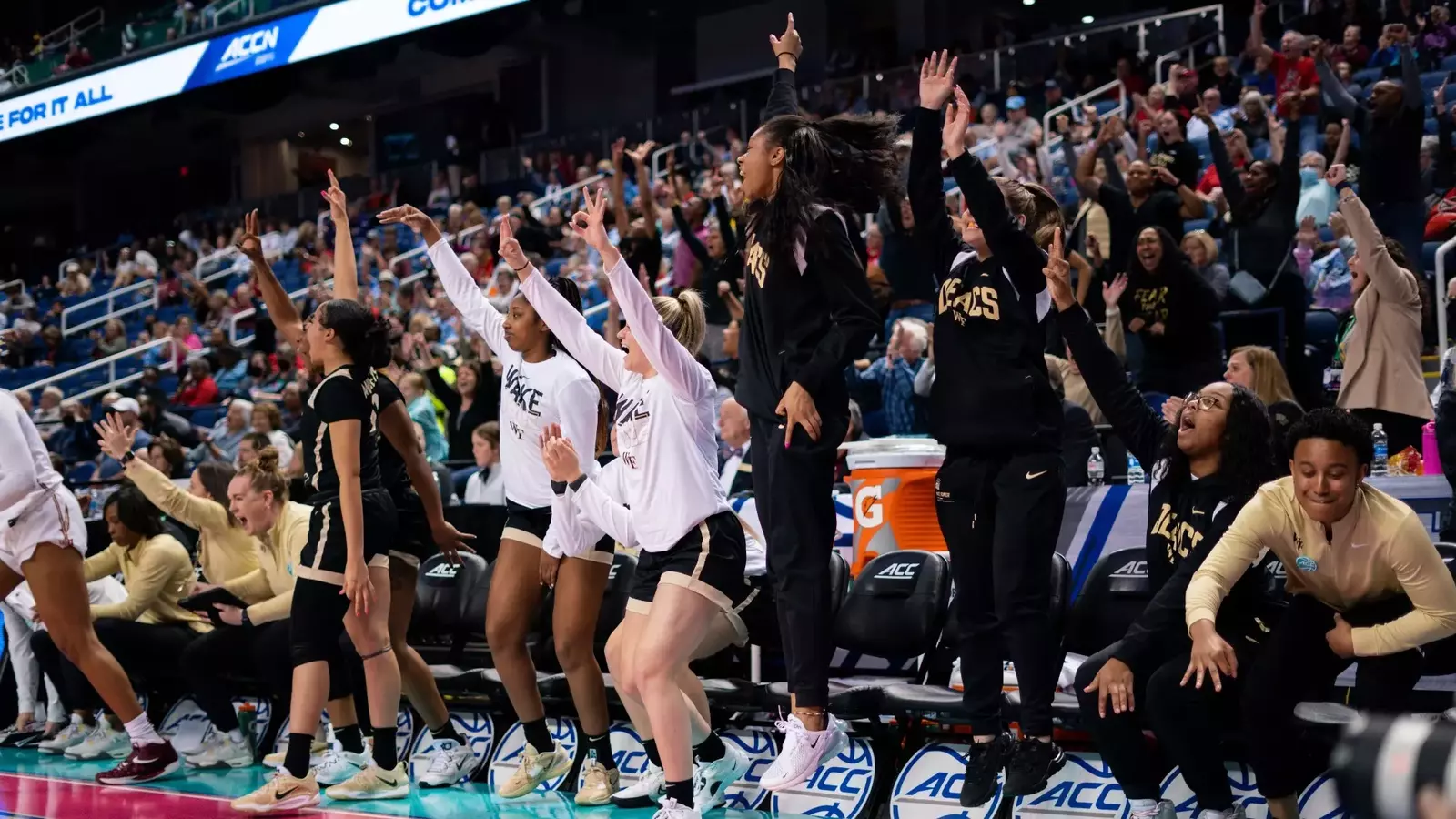 Wake Forest University