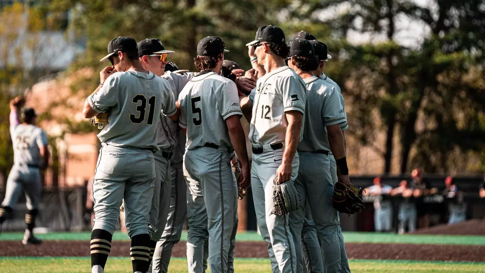 Wake Forest University
