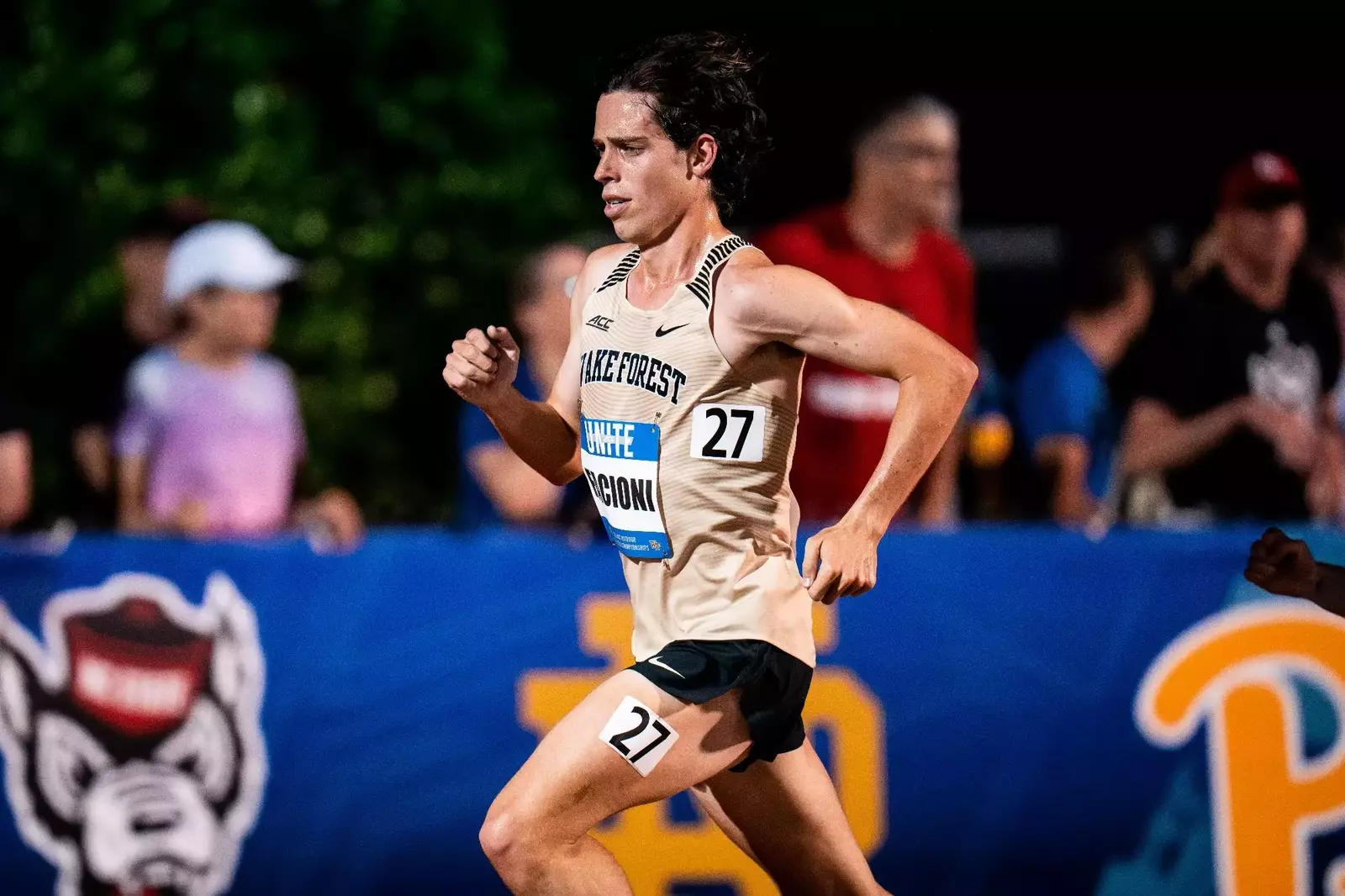 Wake Forest University