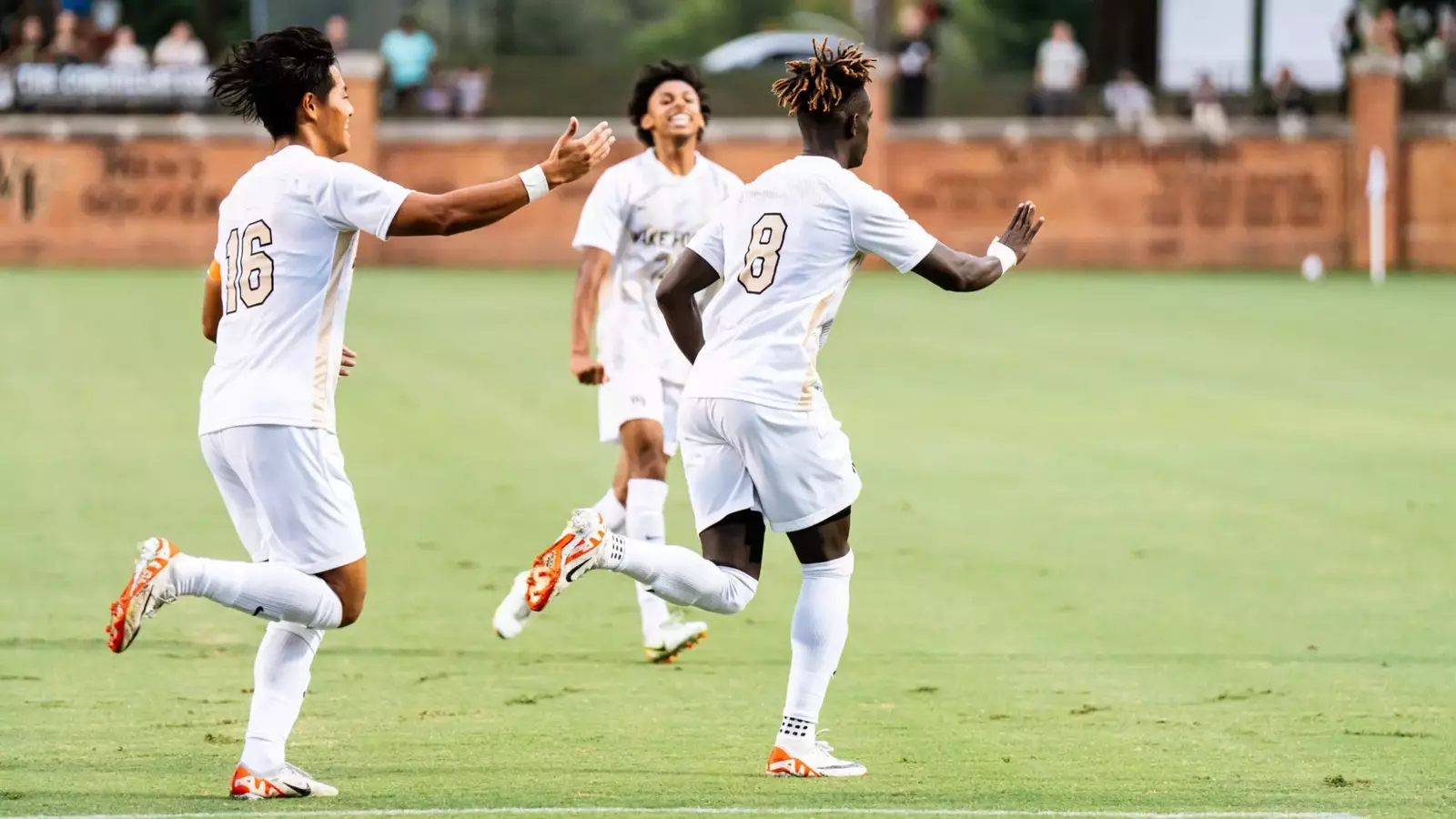 Wake Forest University