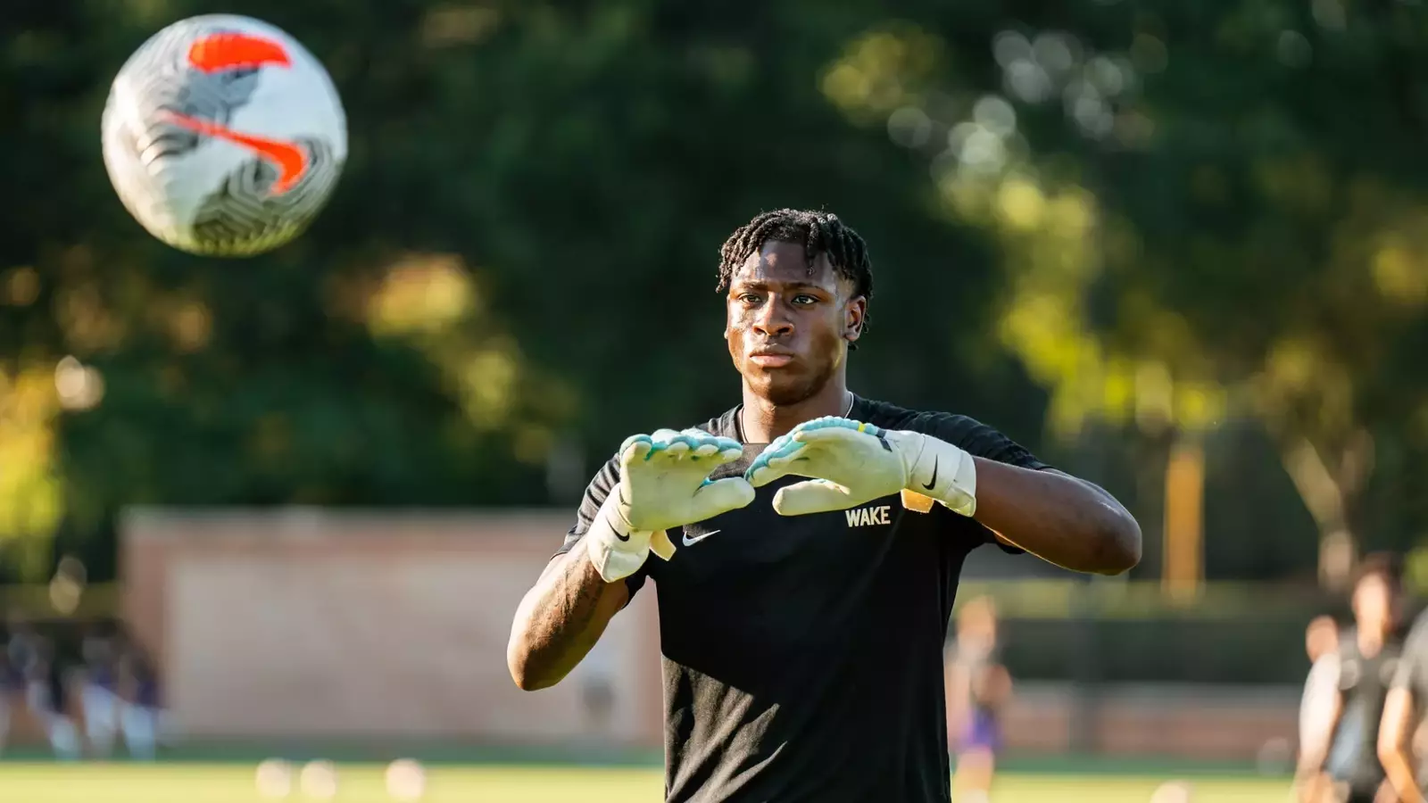 Wake Forest University