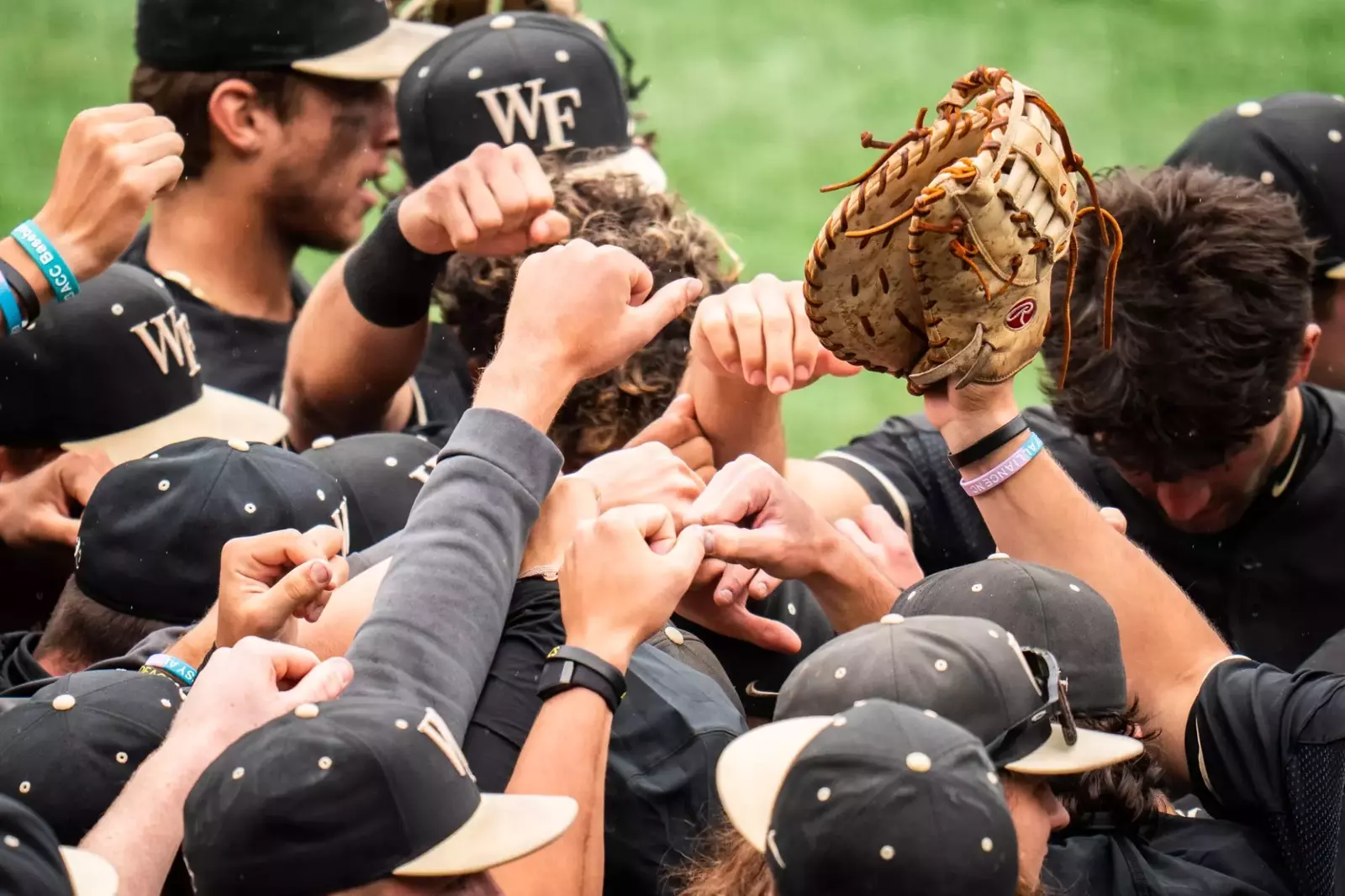 Wake Forest University