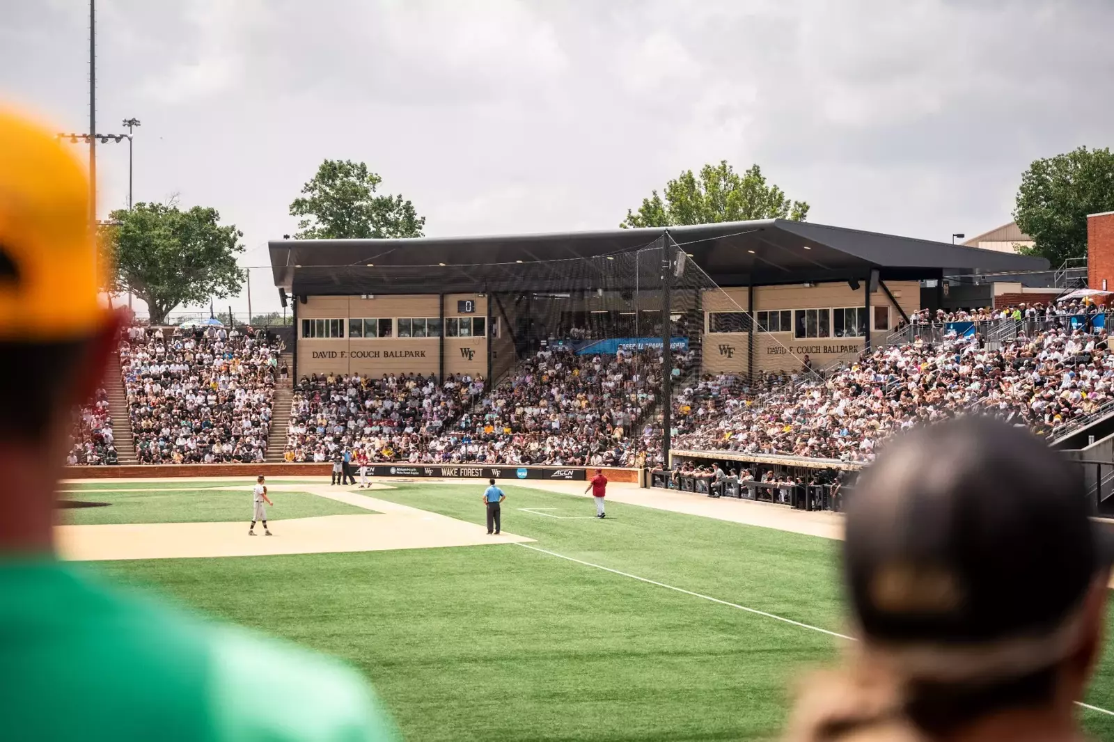 Wake Forest University