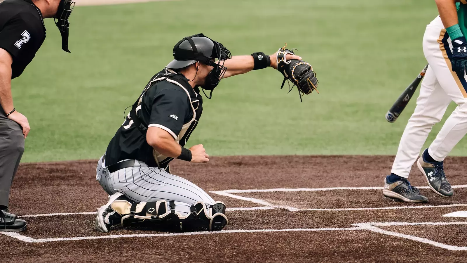 Wake Forest University