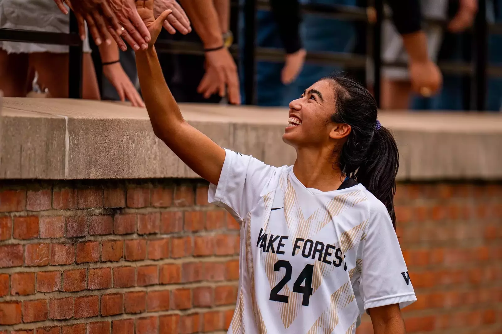 Wake Forest University