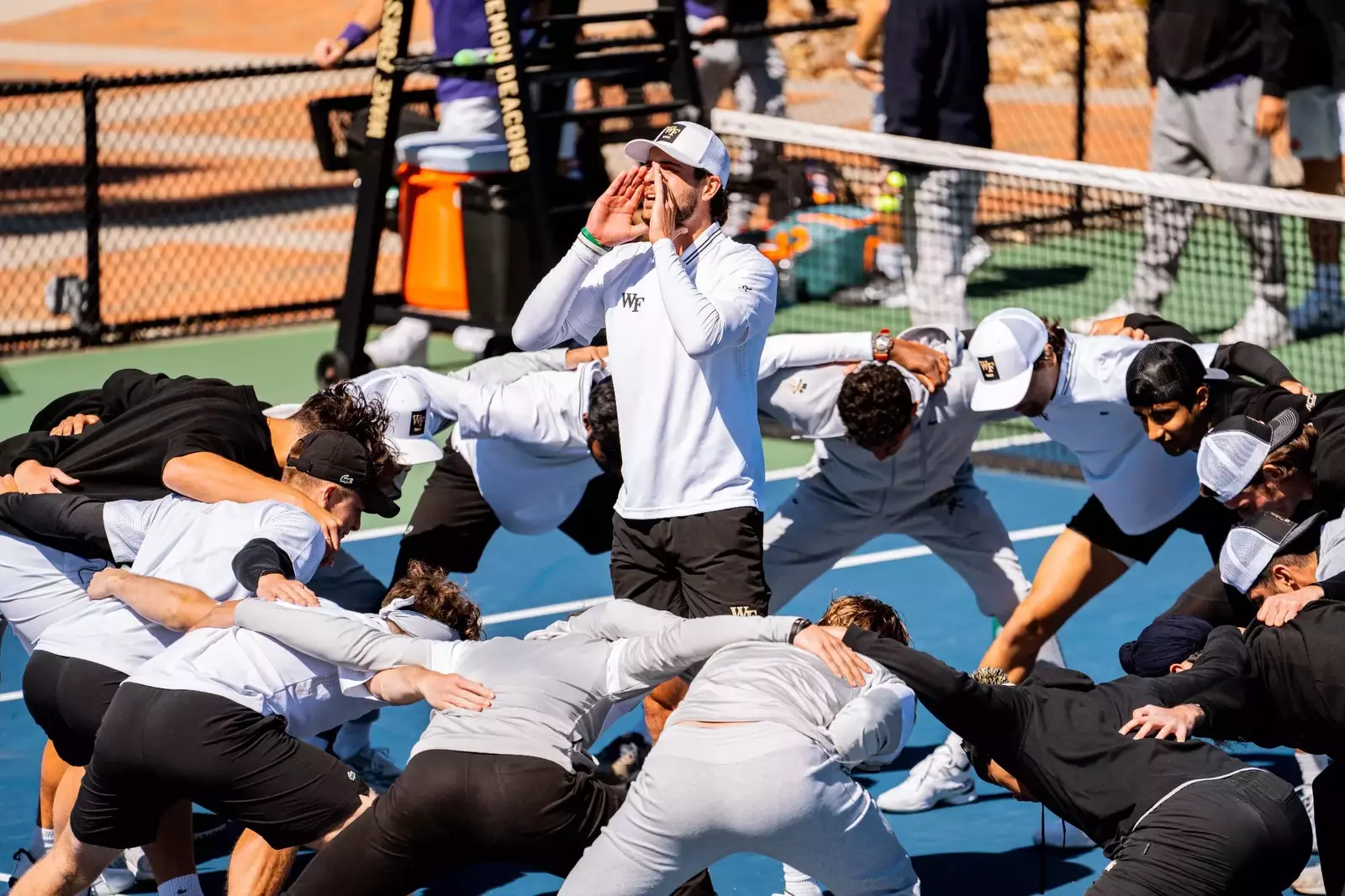 Wake Forest University