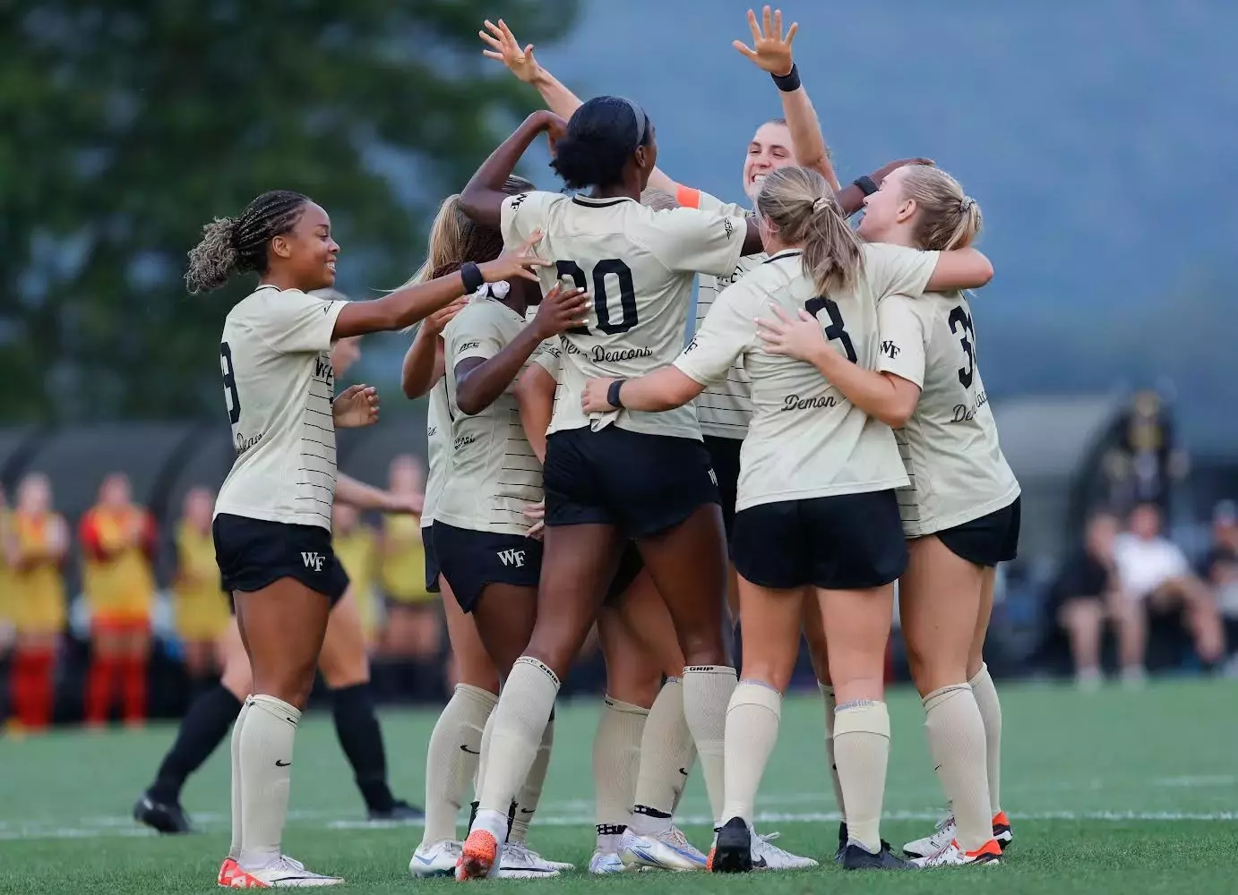 Wake Forest University