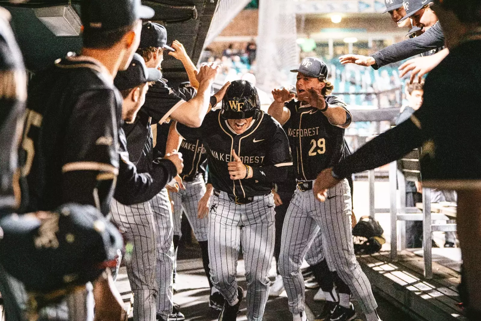 Wake Forest University