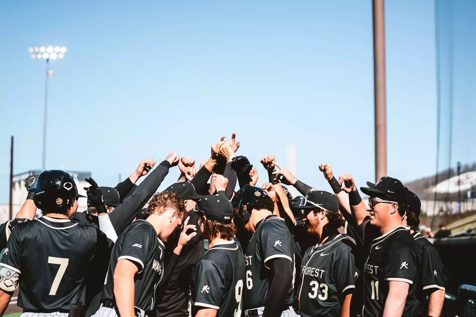 Wake Forest University