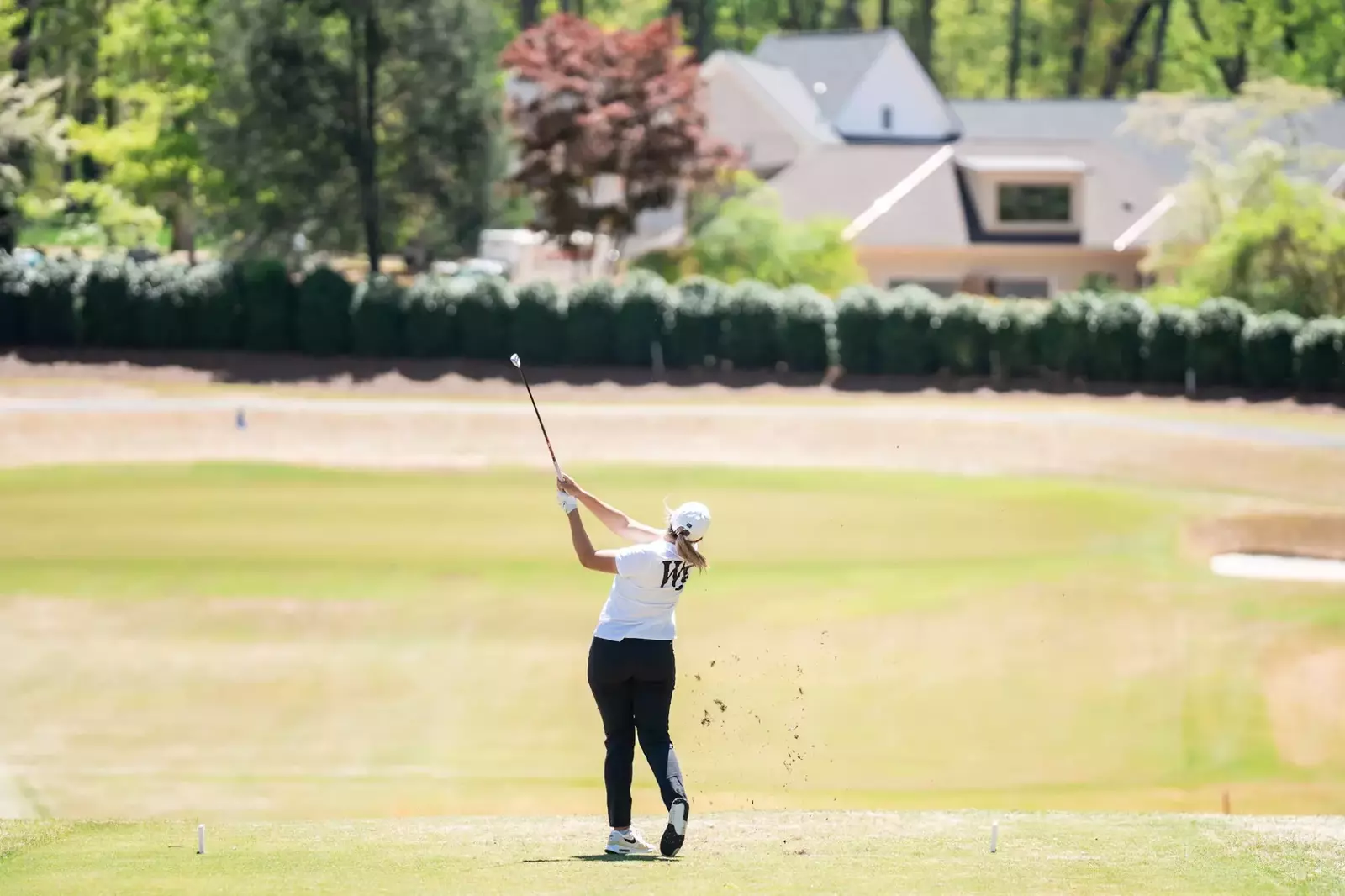 Wake Forest University