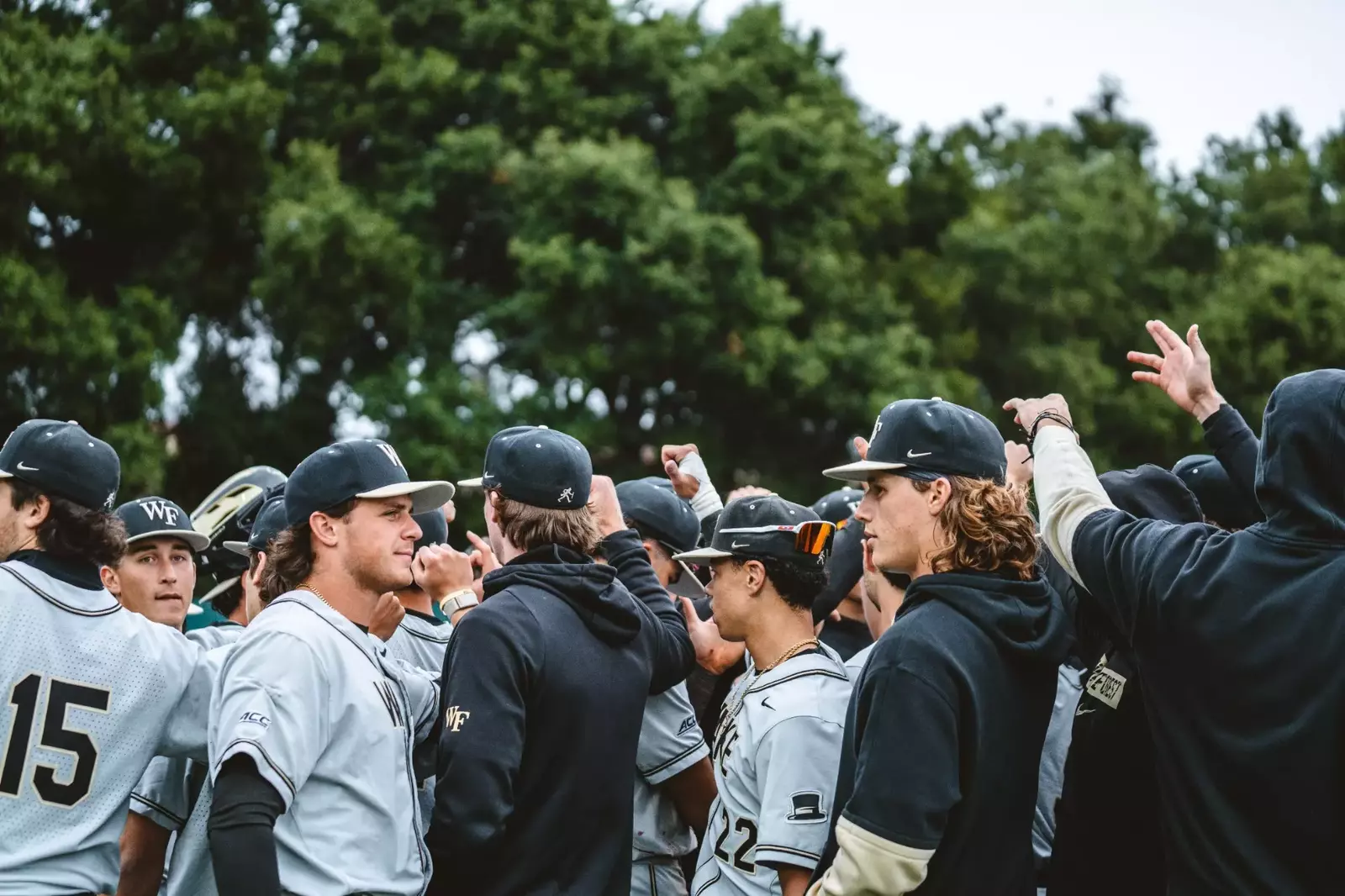 Wake Forest University