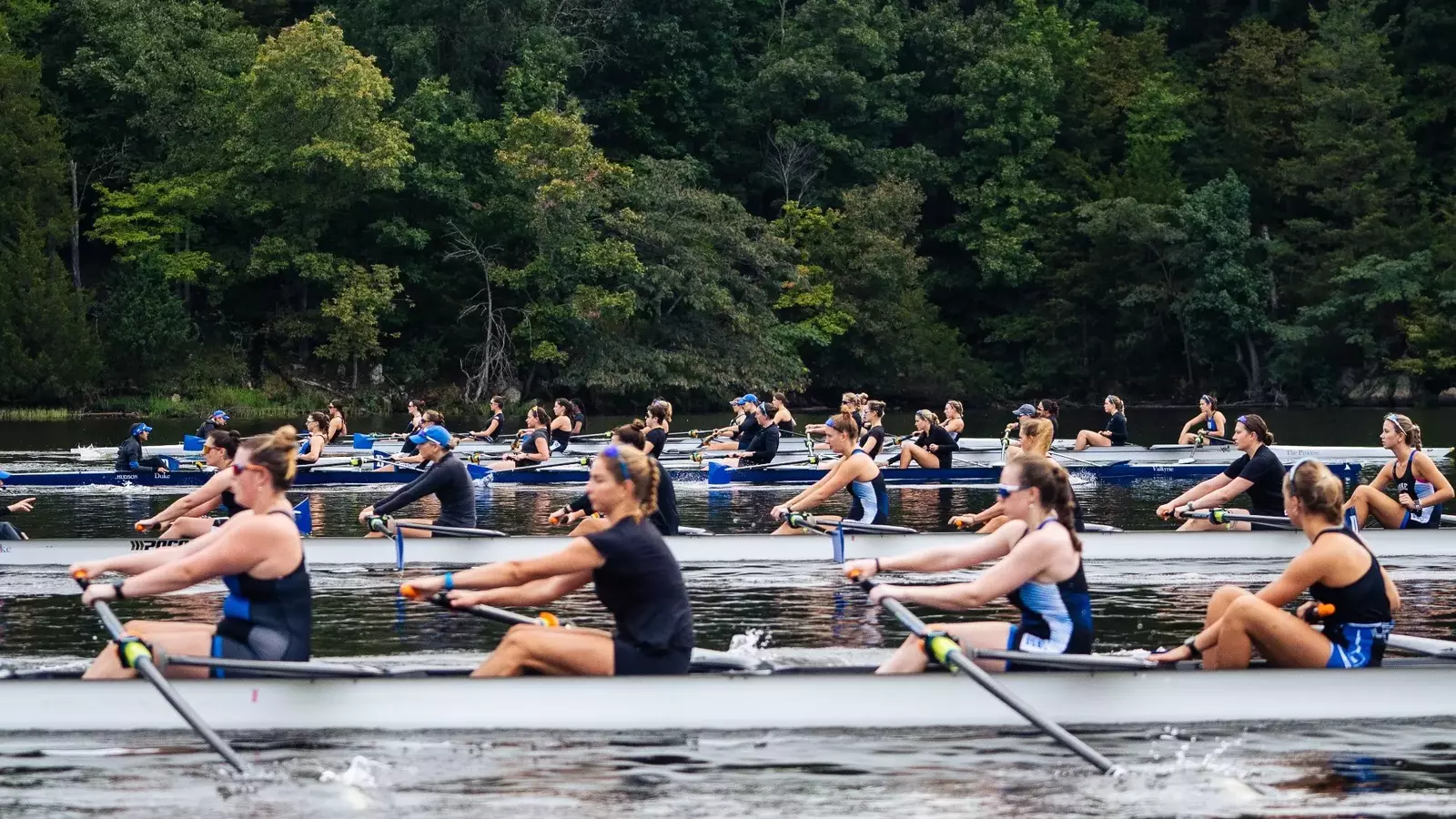 Duke University
