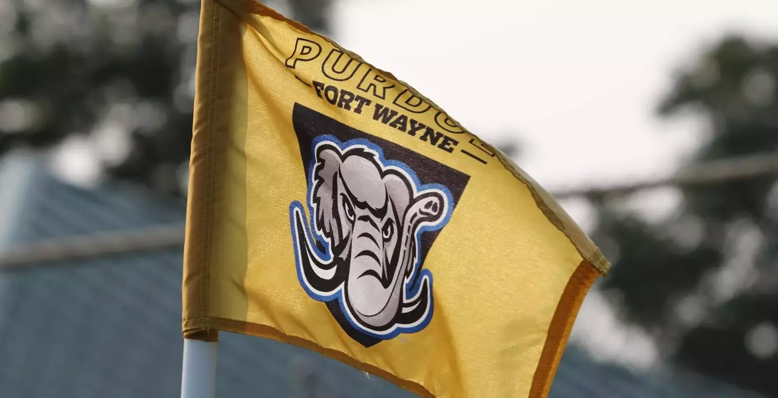 Purdue University Fort Wayne Athletics