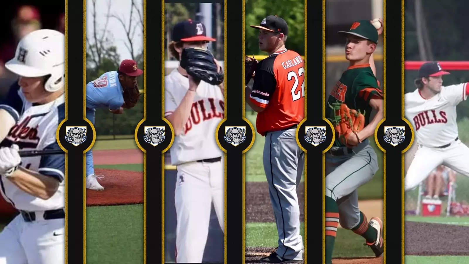 Purdue University Fort Wayne Athletics