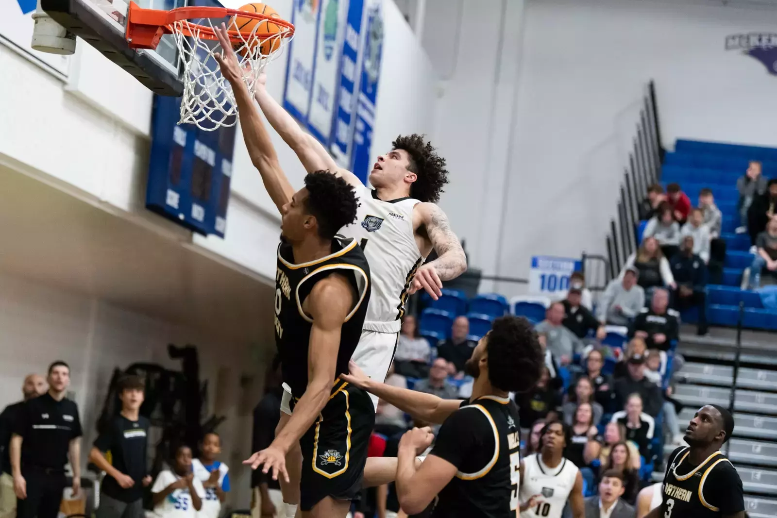 Purdue University Fort Wayne Athletics