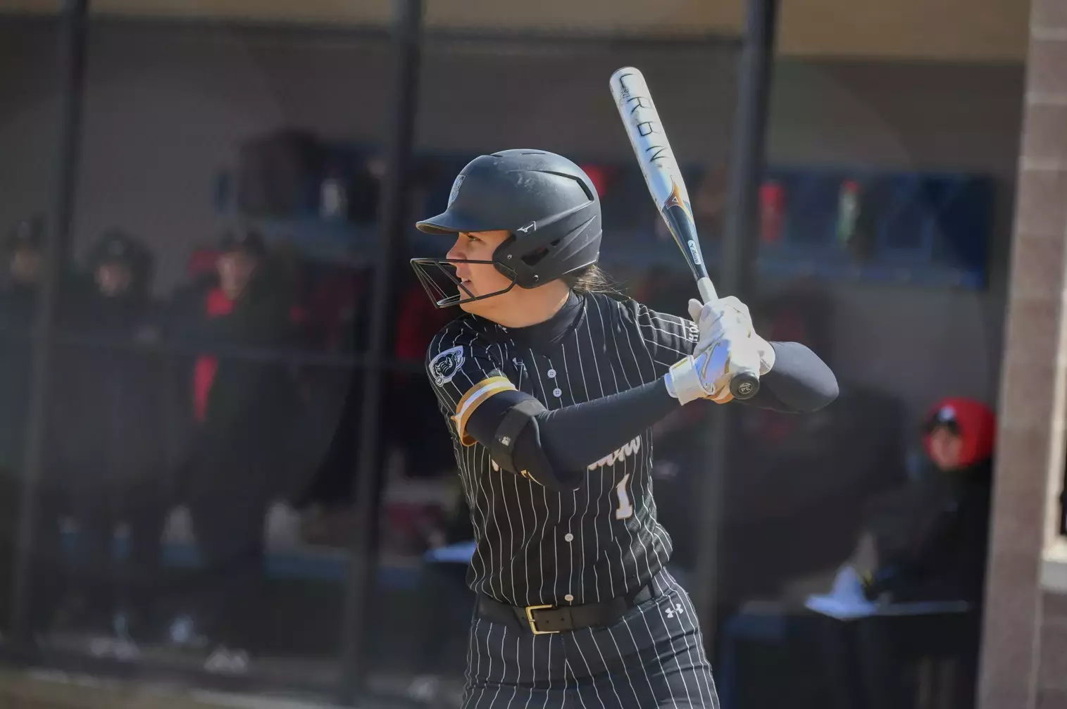 Purdue University Fort Wayne Athletics