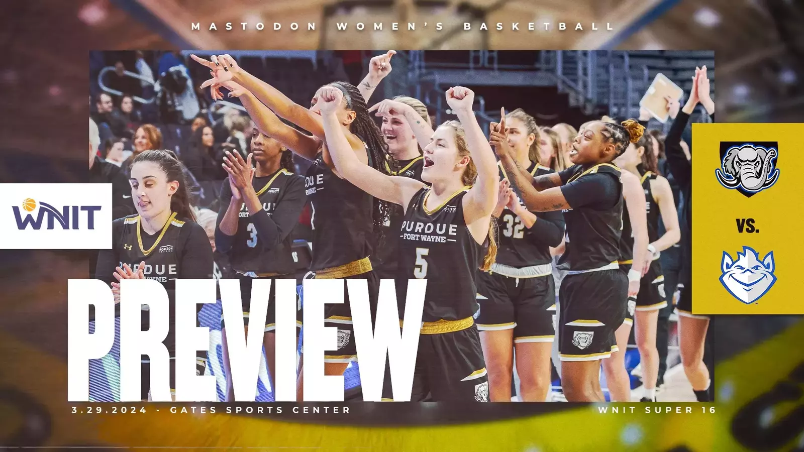 Purdue University Fort Wayne Athletics