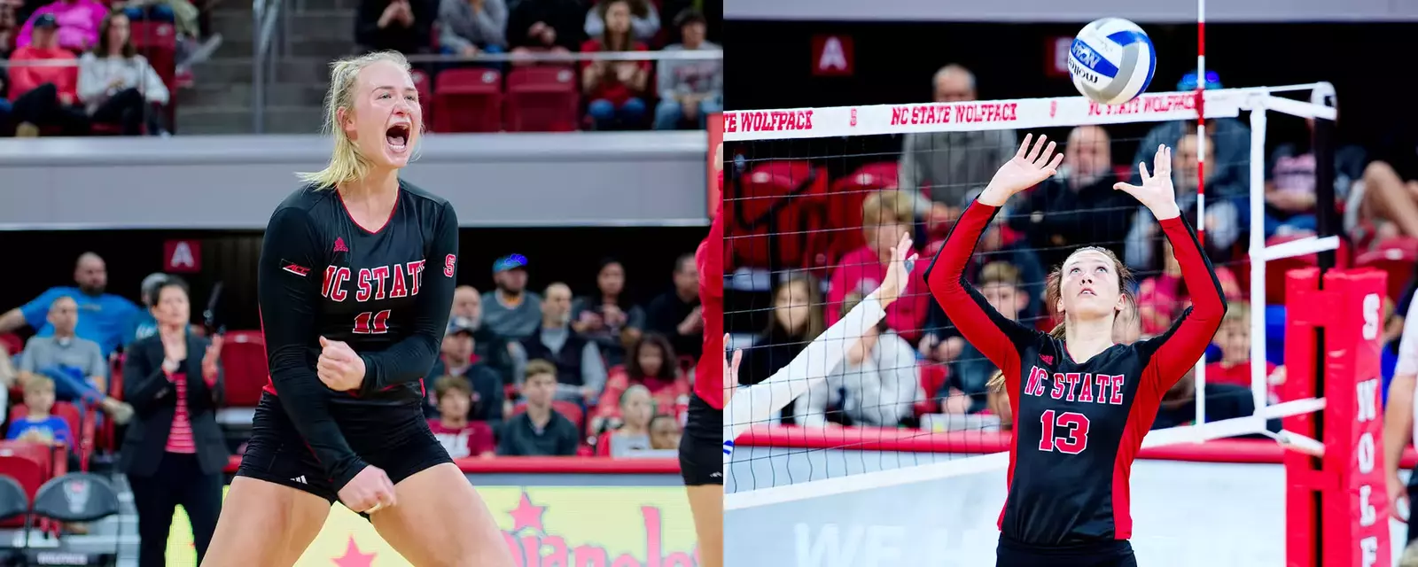 North Carolina State University