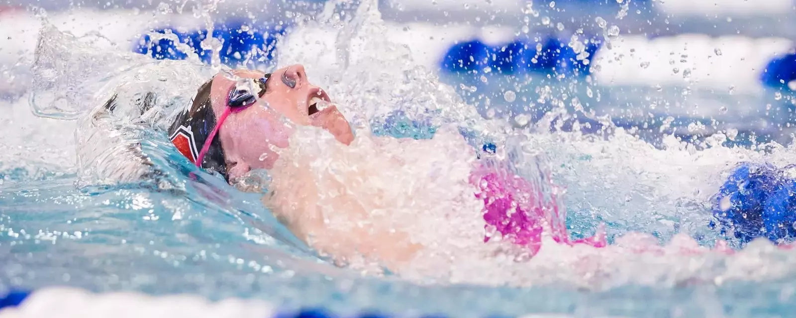 North Carolina State University