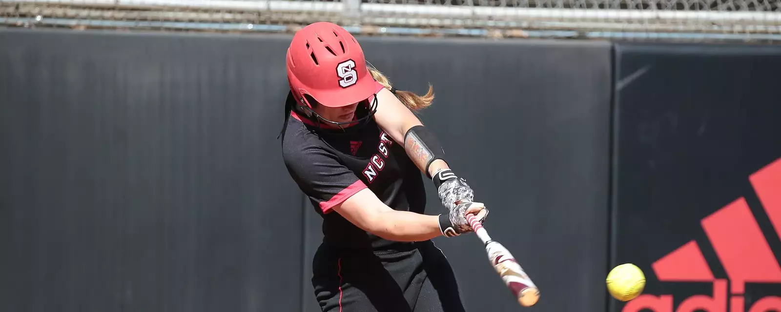 North Carolina State University