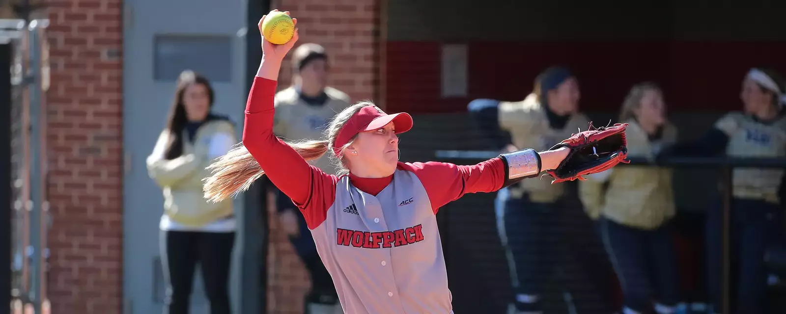 North Carolina State University