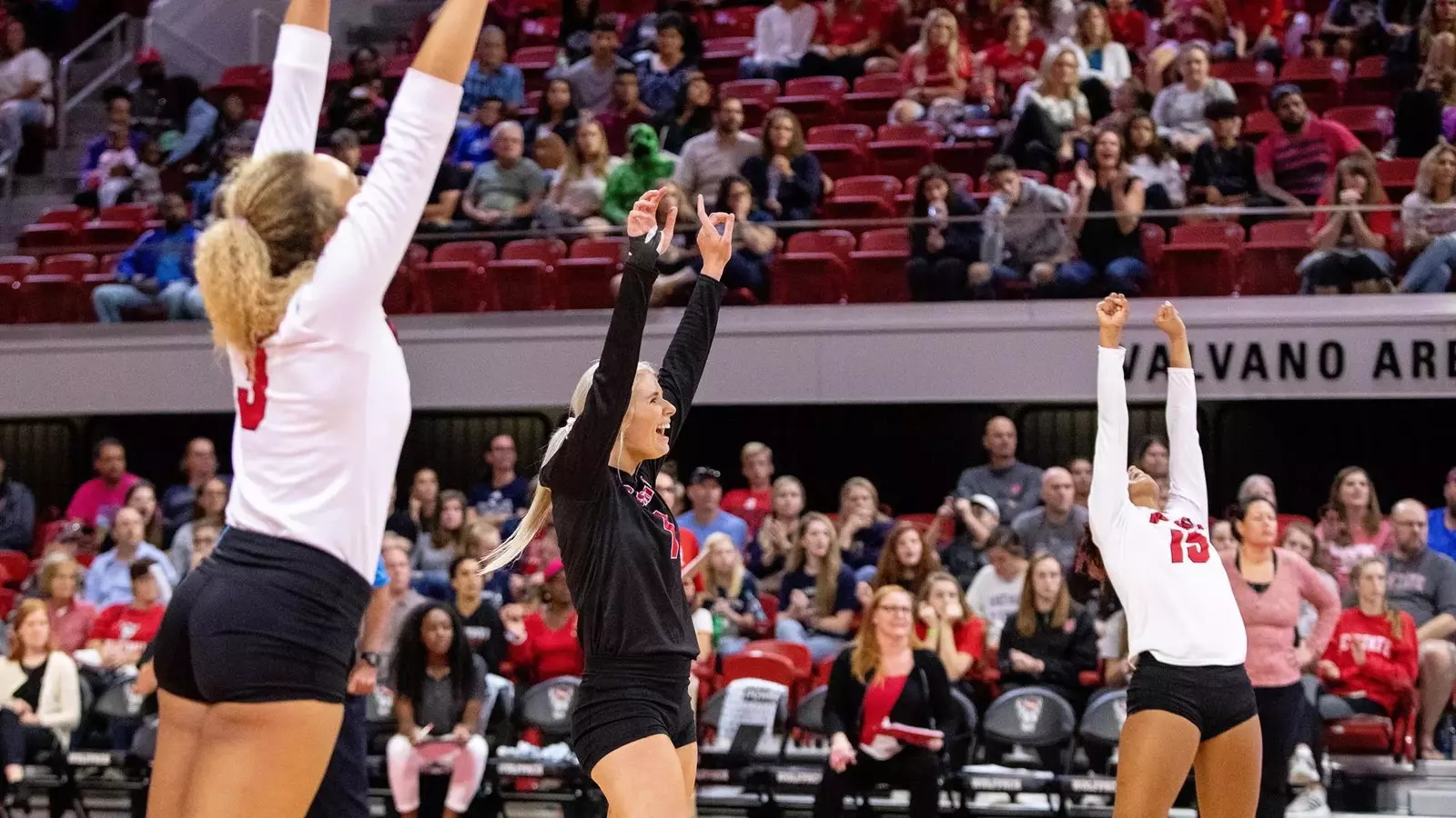 North Carolina State University