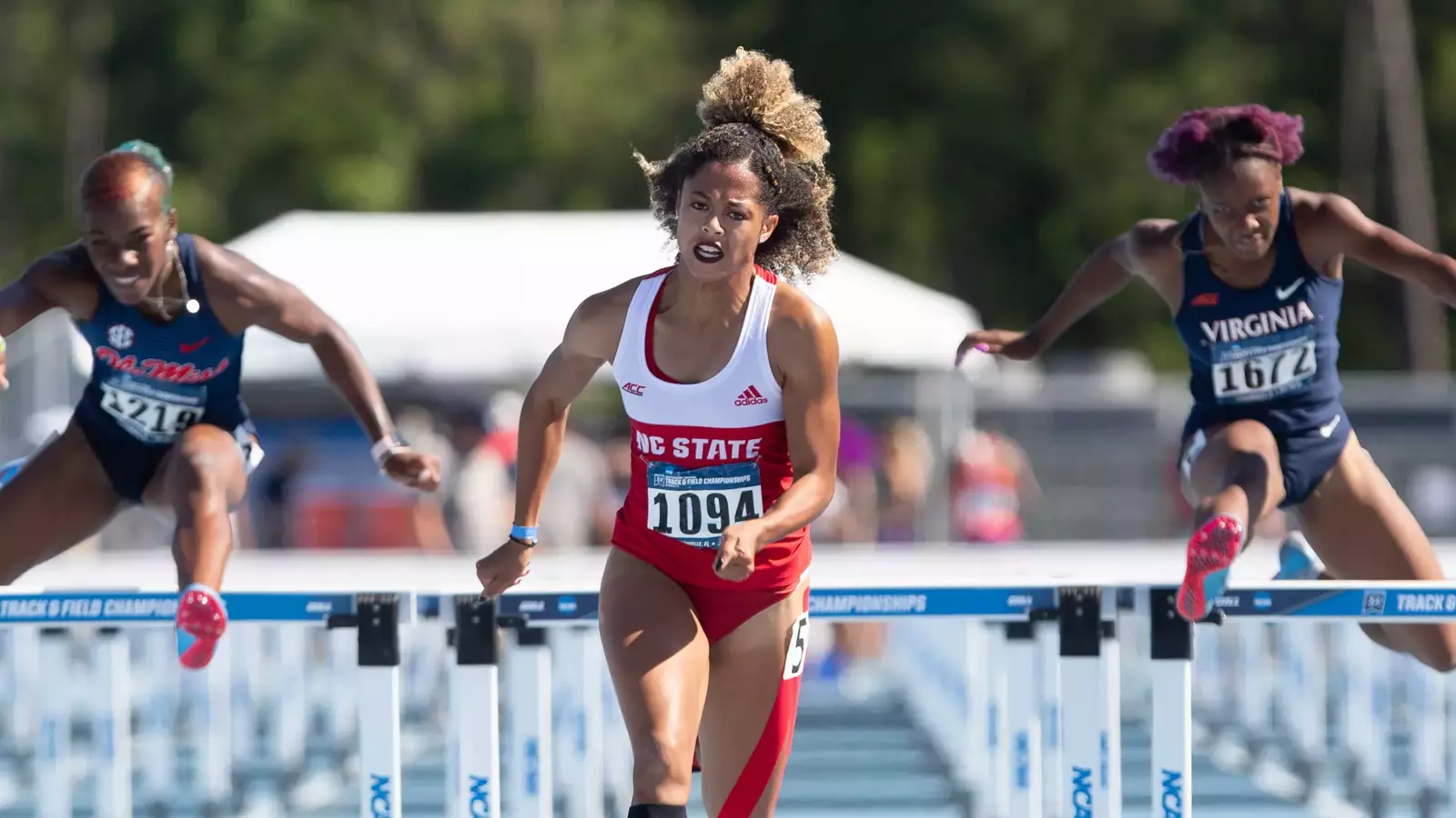 North Carolina State University