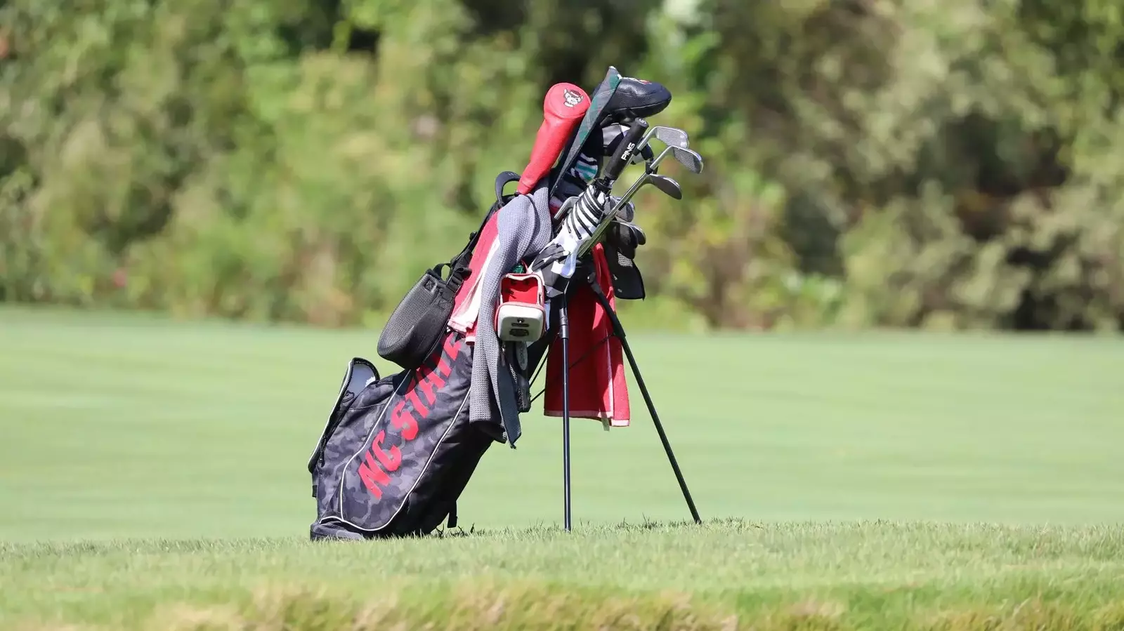 North Carolina State University