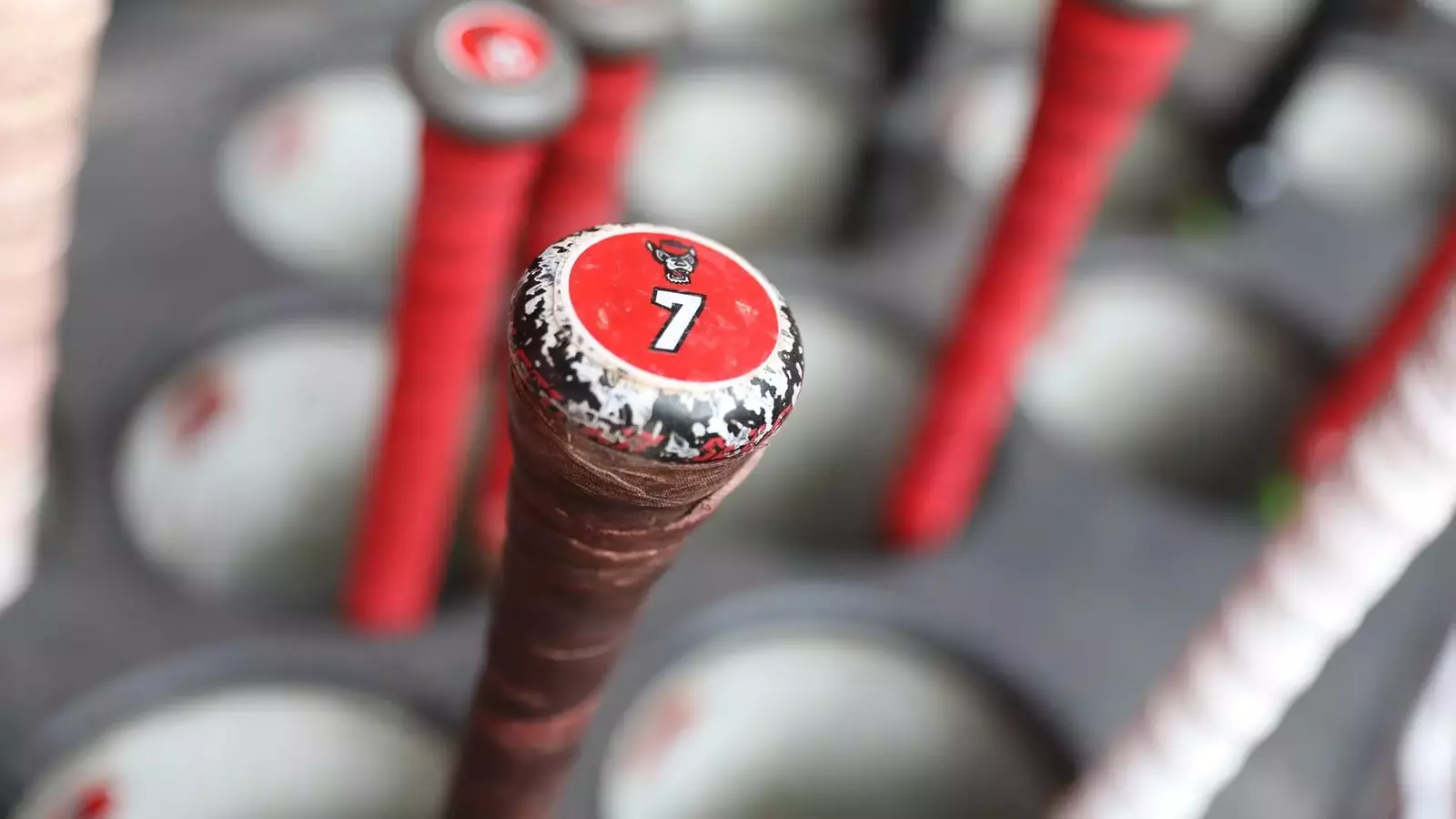 North Carolina State University