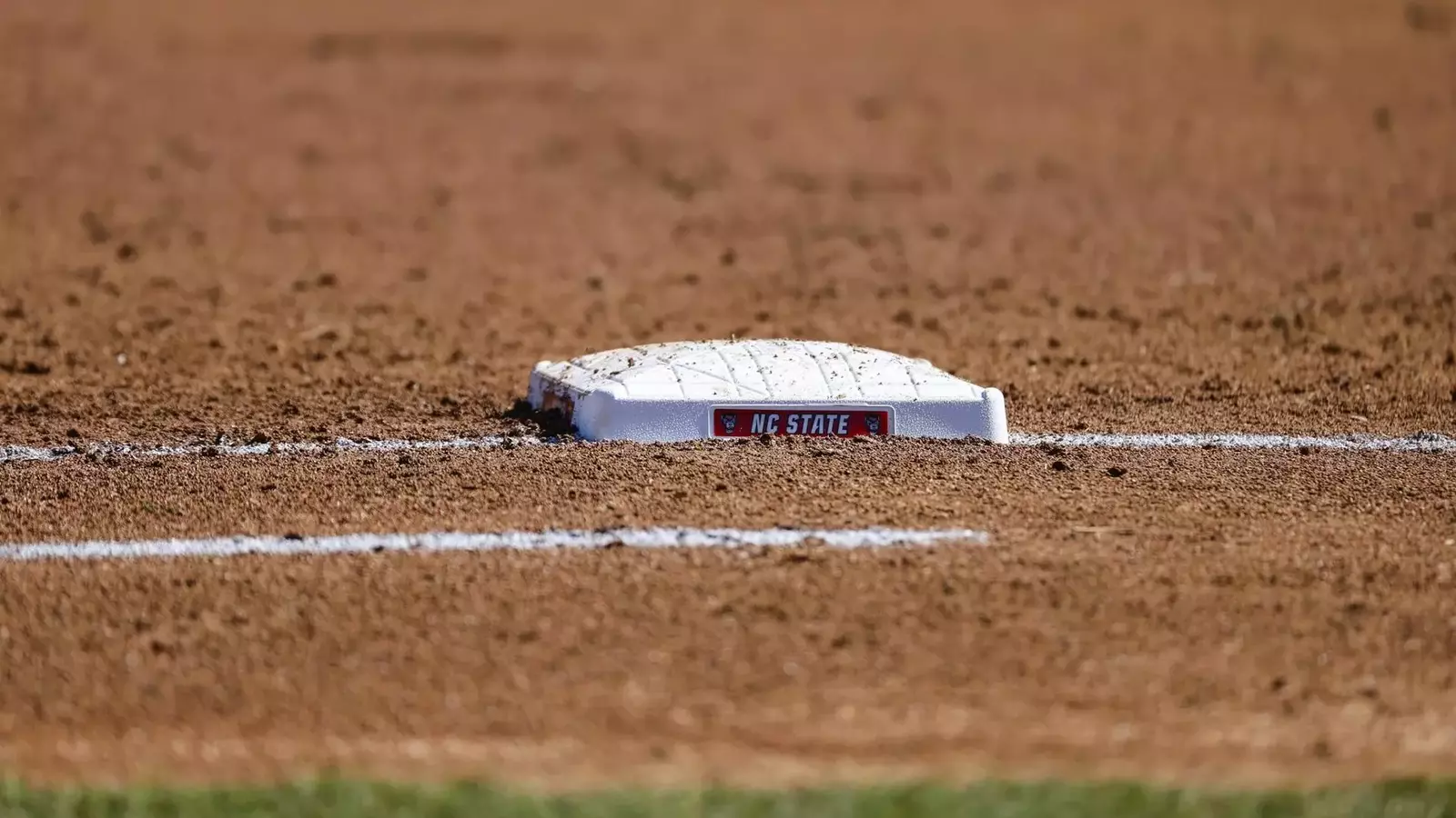 North Carolina State University