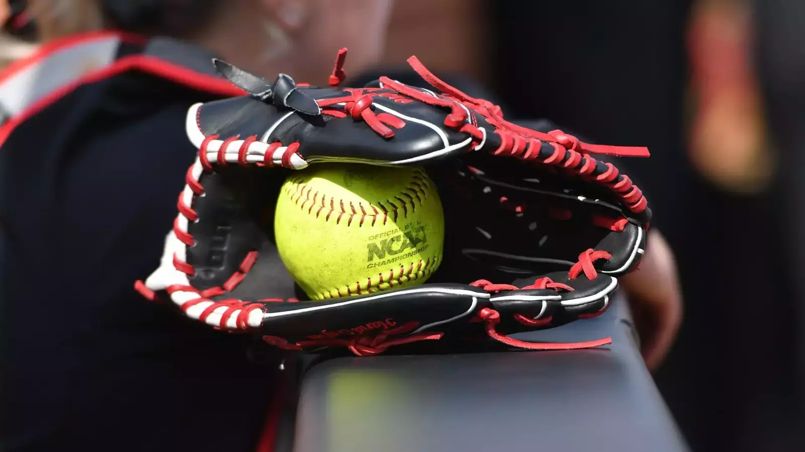 North Carolina State University