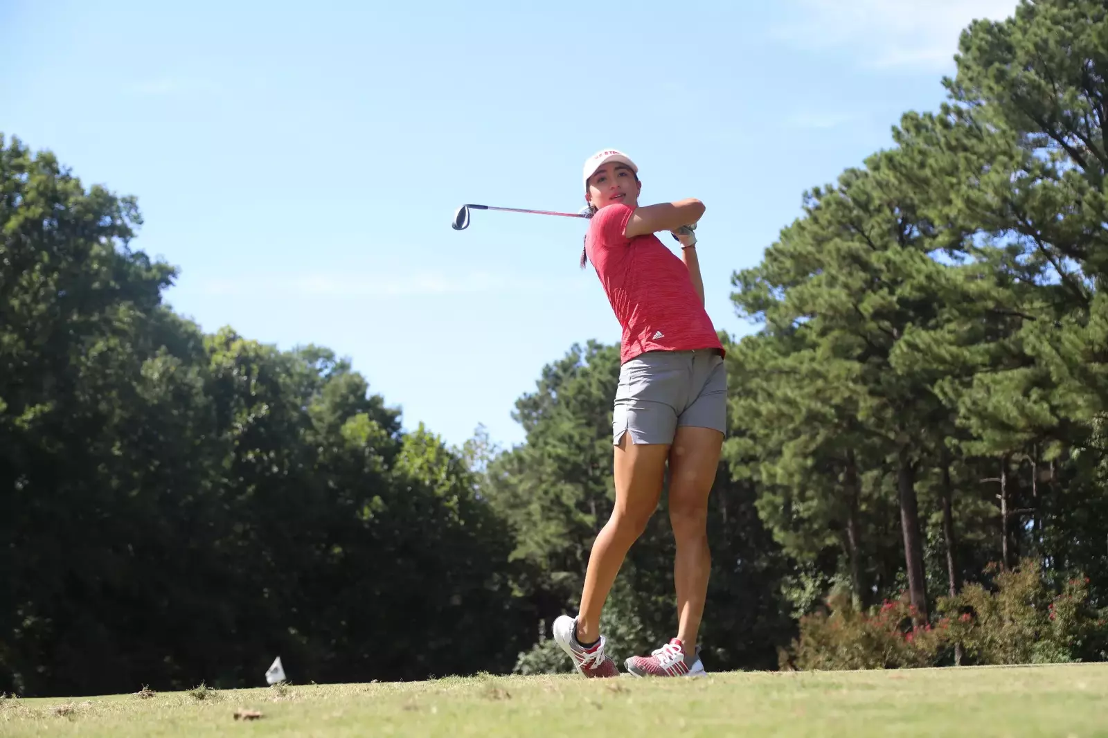 North Carolina State University