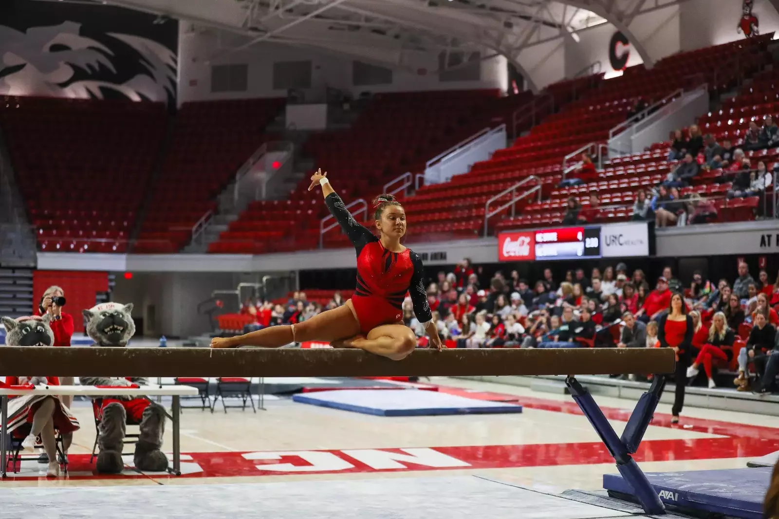 North Carolina State University