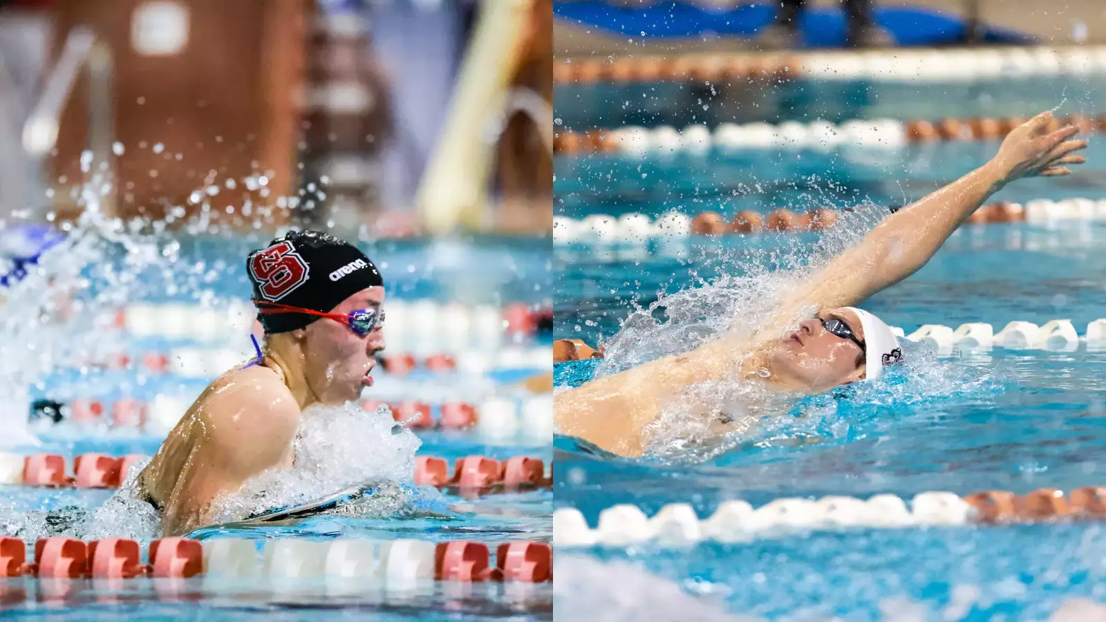 North Carolina State University