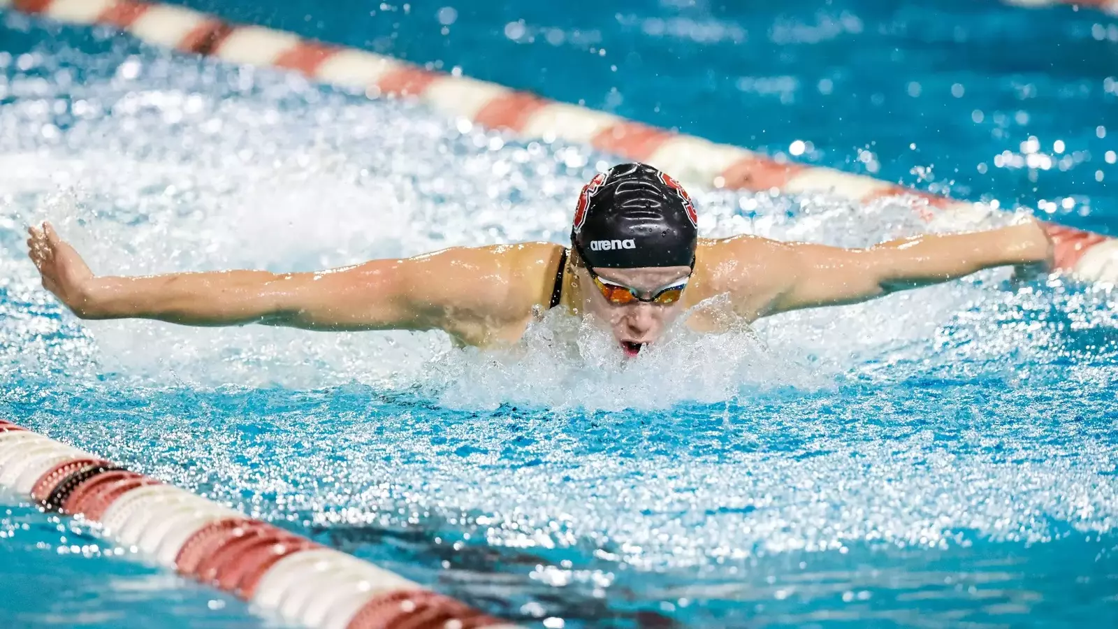 North Carolina State University